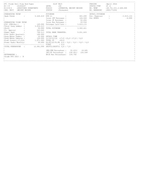 Paystub 202404 Pdf