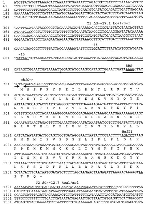 Dna Sequence Of The Psrq900 Fragment Coding For Abiq The Bglii Download Scientific Diagram