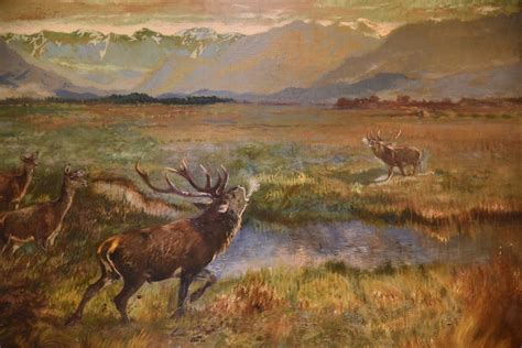 Alfred Singer Landscape With Deer 1917 Oil On Canvas For Sale At Pamono