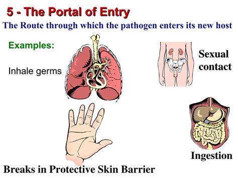 Concept Of Asepsis In Nursing Unit Ivppt