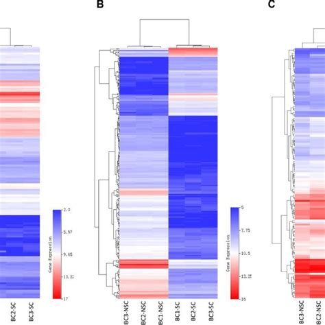 Differentially Expressed Mrnas A Lncrnas B And Circrnas C