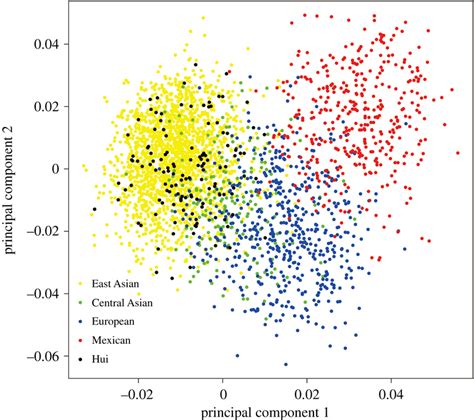Pca Plot At Individual Level Black Hui Yellow East Asian Blue Download Scientific Diagram