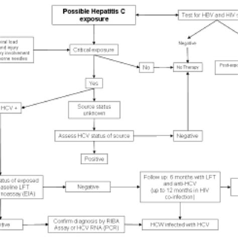 Algorithm Suggested To Evaluate And Management In A Hcv Exposure