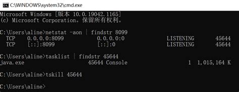 使用windows命令杀掉idea的java进程（解决idea启动java服务时端口被占用报错） 陈婉兮 博客园