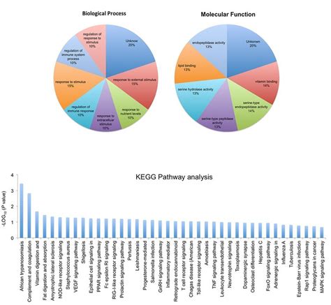 The Results Of Bioinformatic Analysis Top The Enriched Bp And Mf Download Scientific Diagram