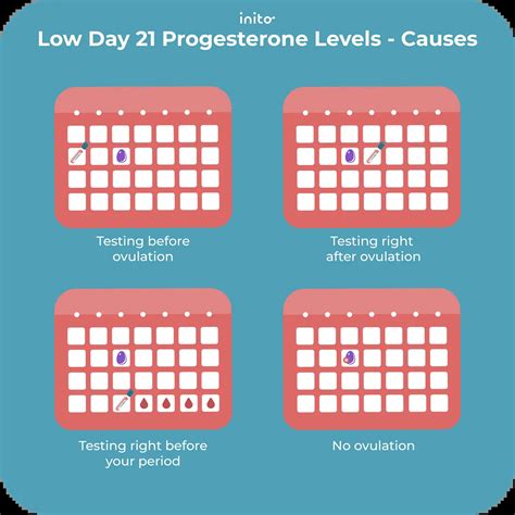 Progesterone Level Chart By Day Fileestrogen And Progesterone Levels