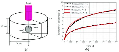 a schematic of validation numerical simulation b numerical