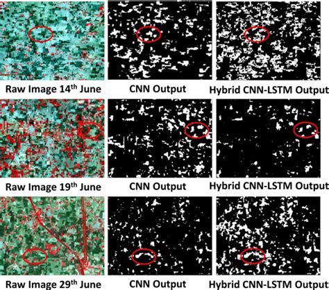 Classification Results For Paddy Fields Transplanted On 14th June 19th Download Scientific