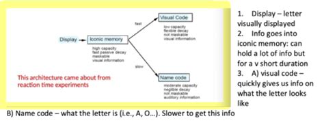 Lecture 3 Visual Cognition Flashcards Quizlet