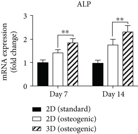 Western Blot Analysis Was Used To Determine The Expression Of COL I Download Scientific