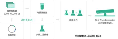 抗体生产及鉴定平台