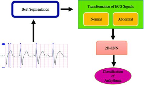 Diagrammatic Depiction Of Arbc Download Scientific Diagram