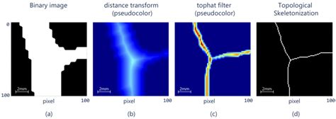 A A Section Of The Binary Image B The Euclidean Distance Transform
