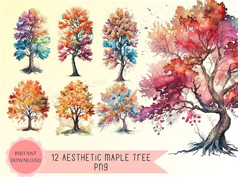 Watercolor Maple Tree Clipart Png Graphic 12 Maple Tree Autumn Trees