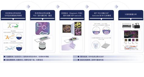 dsp技术服务 非因生物