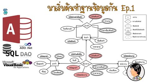 มาเริ่มต้นทำฐานข้อมูลกัน Ep1 เขียน Er Diagram Youtube