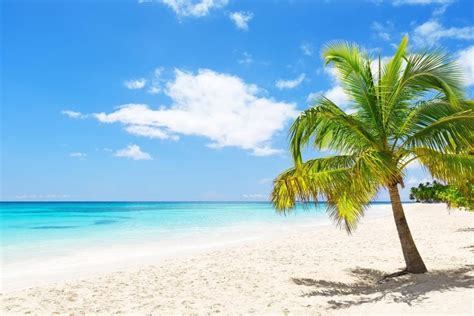 Structured Outputs · Ollama Blog