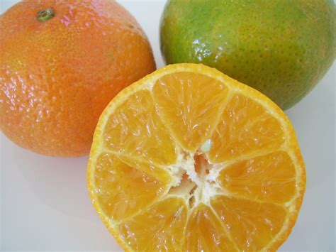 무료 이미지 과일 일주 익은 주황색 식품 생기게 하다 신선한 노랑 흥미 진진한 건강한 간식 맛있는 절단 주스 조각 내부 선명한 맛좋은