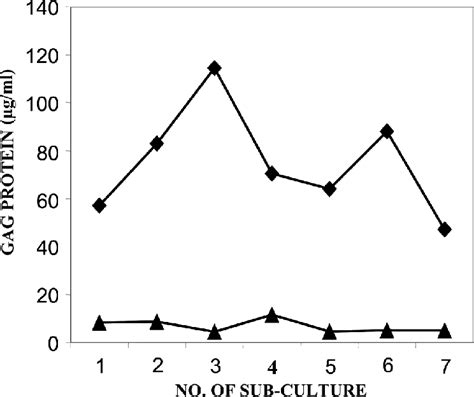 Amount Of The Gag Protein Expressions From Seven Different Sub Cultures Download Scientific