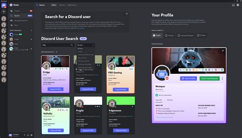 Search For A Discord User Discord