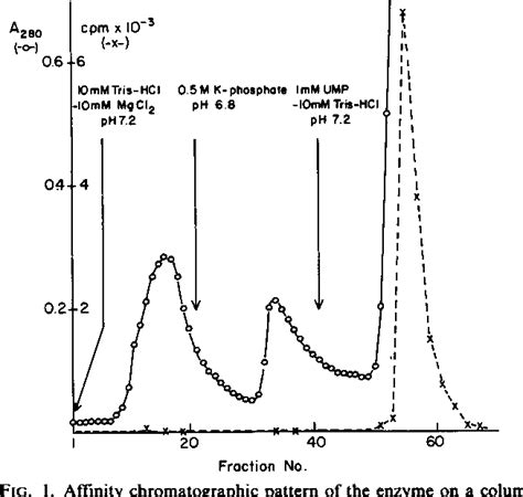Figure 1 From Purification And Properties Of Sucrose Synthase From Maize Kernels Semantic Scholar