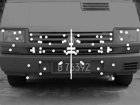 Examples Of Bilateral Symmetry Detection The Luminance Of The Download Scientific Diagram