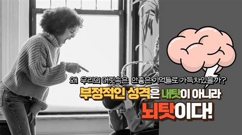 뇌는 성공보다 실패를 좋아한다 내 적은 뇌안에 있다 Youtube