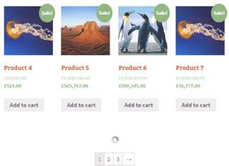 Best WooCommerce Infinite Scroll Plugin Frip In