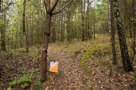Orienteering Control Point Prism And Electric Composter For Orienteering In The Spring Forest