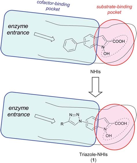 Simplified Models Of Occupancy Of Nhis Within Ldh A Active Site And