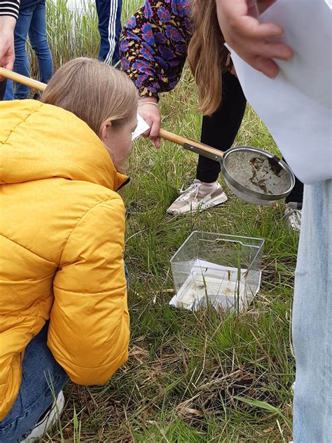 Wetenschappelijke Publicaties Edwin Peeters Waterdiertjes Globenl