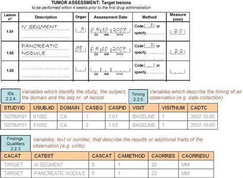 Creation Of New Domain Tumor Assessment Download Scientific Diagram