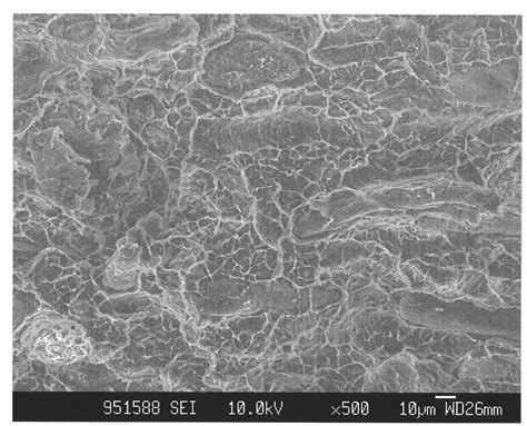 High Wear Resistant Wood Plastic Composite And Preparation Method Thereof Eureka Patsnap