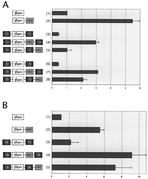 Enhancer Blocking By 3 Ј Hs1 But Not Hs 62 5 Shown By Colony Assays