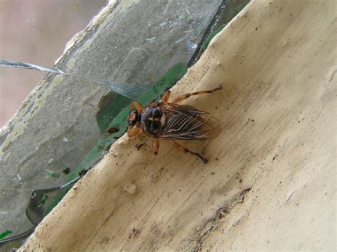 Un Petit Dernier Pour La Route