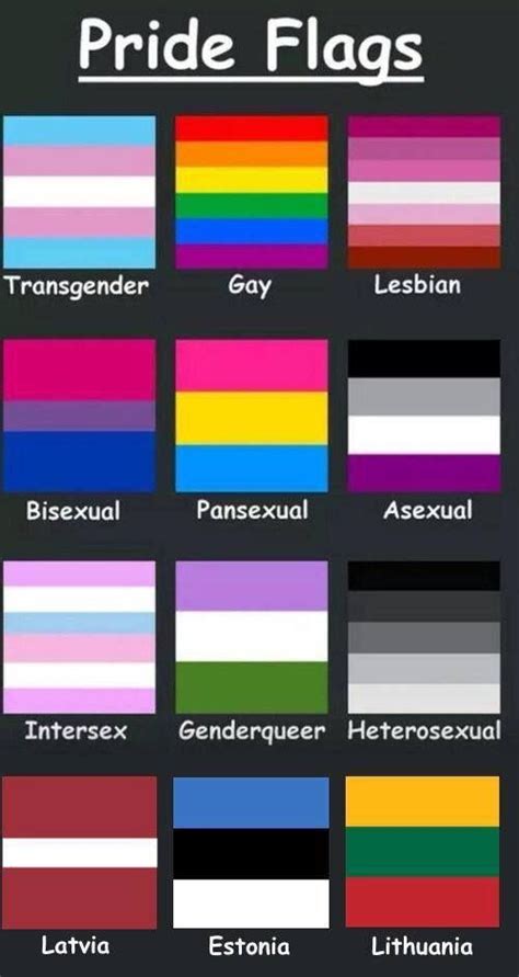 Non Binary All The Lgbtq Flags And Meanings 17 Commonly Used Lgbtq