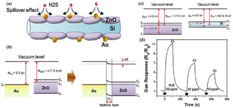 (a) Schematic outline showing spillover effects due to the presence of... | Download Scientific ...