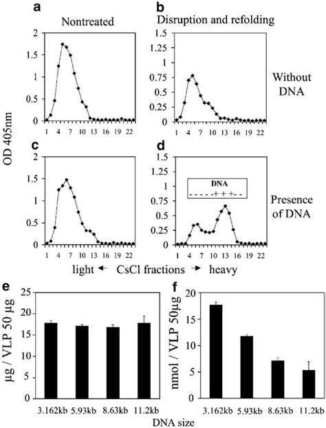 Cscl Gradient Profiles Of Intact And Refolded Vlps No Dna Added A
