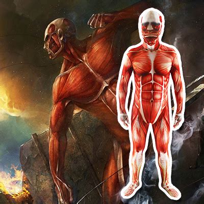 Déguisement Costume Attack On Titan Boutique En Ligne France