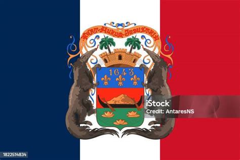 프랑스 기아나 부서의 공식 현재 국기와 문장 프랑스 기아나의 국기 그림 0명에 대한 스톡 벡터 아트 및 기타 이미지 0명