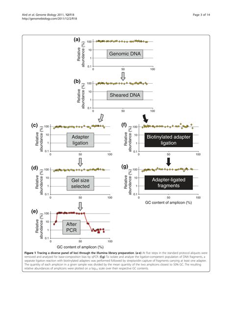 Solution Analyzing And Minimizing Pcr Amplification Bias In Illumina