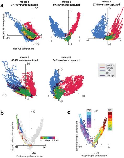 Social Behaviour Shapes Hypothalamic Neural Ensemble Representations Of Conspecific Sex