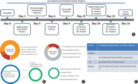 A The Timeline Of Pathogen Investigations B Coxiella Burnetii Was Download Scientific