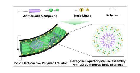 Electroactive Soft Actuators Based On Columnar Ionic Liquid Crystal Polymer Composite Membrane