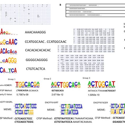 A One Conserved Sequence Which Occurs 79 Times In 46264 Binding