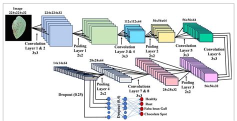 cnn model architecture with convolution and pooling layer