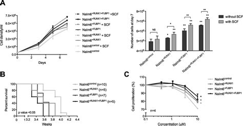 fubp1 and runx1 contribute to c kit dependent cell proliferation a