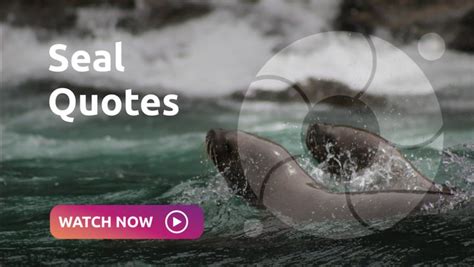 Seal Quotes