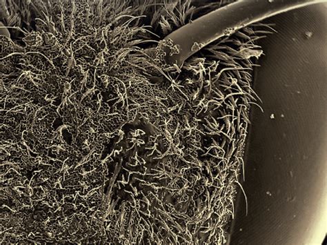 Imaging The Invisible How Can Research Software And Imaging Techniques