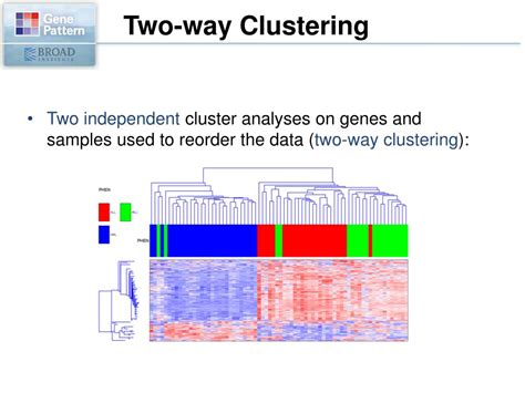 ppt clustering powerpoint presentation free download id 2624551